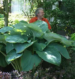 Spring Newsletter 2009