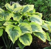 Spring Newsletter 2012 - In The Country Garden & Gifts